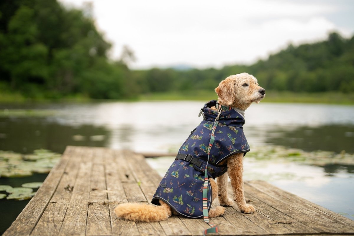 A Very Furry Mountain Photoshoot 🍂 – Carolina Pet Co.