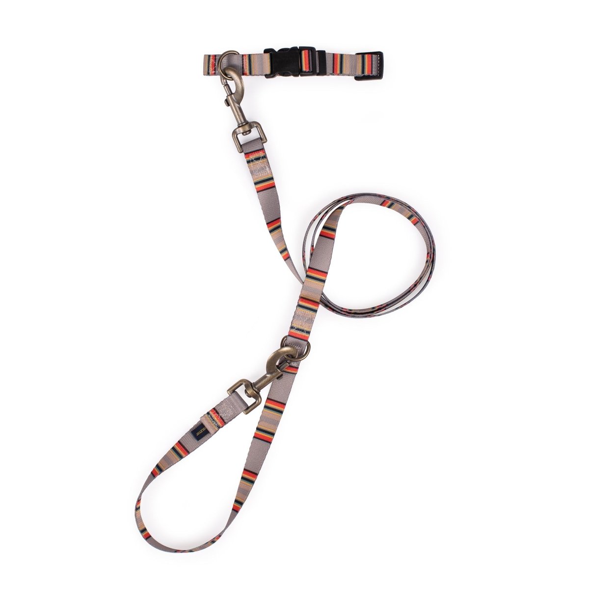 Dog Collars & Leashes – Carolina Pet Co.