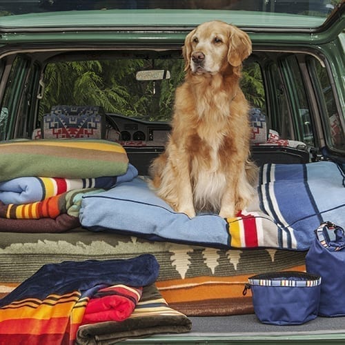 Pendleton Pet Products – Tagged "pendleton" – Carolina Pet Co.