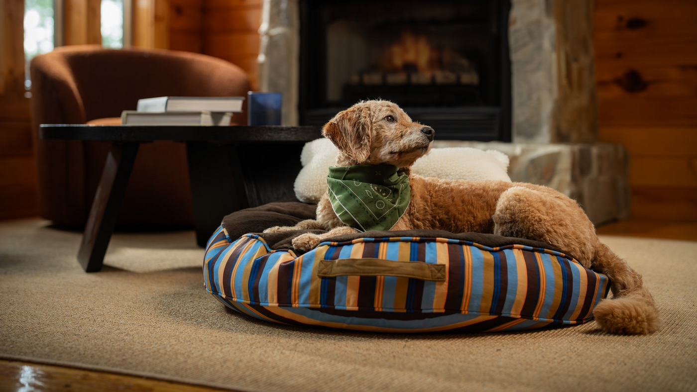 Luxury Pet Products | Carolina Pet Co – Carolina Pet Co.