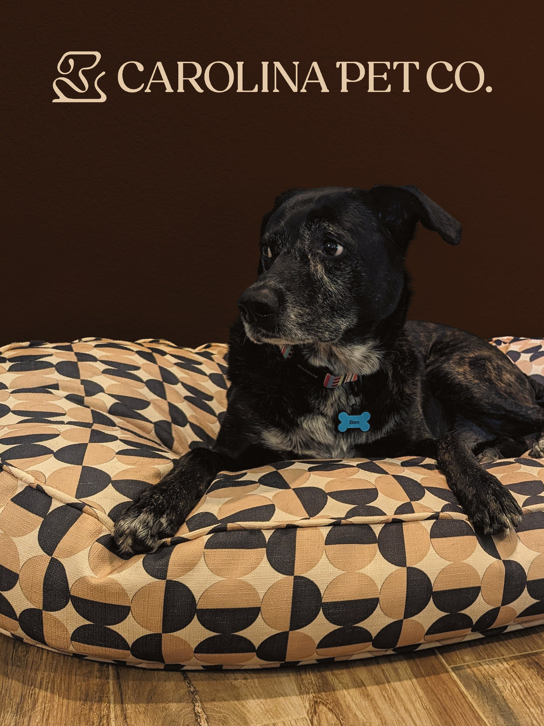 Luxury Pet Products | Carolina Pet Co – Carolina Pet Co.