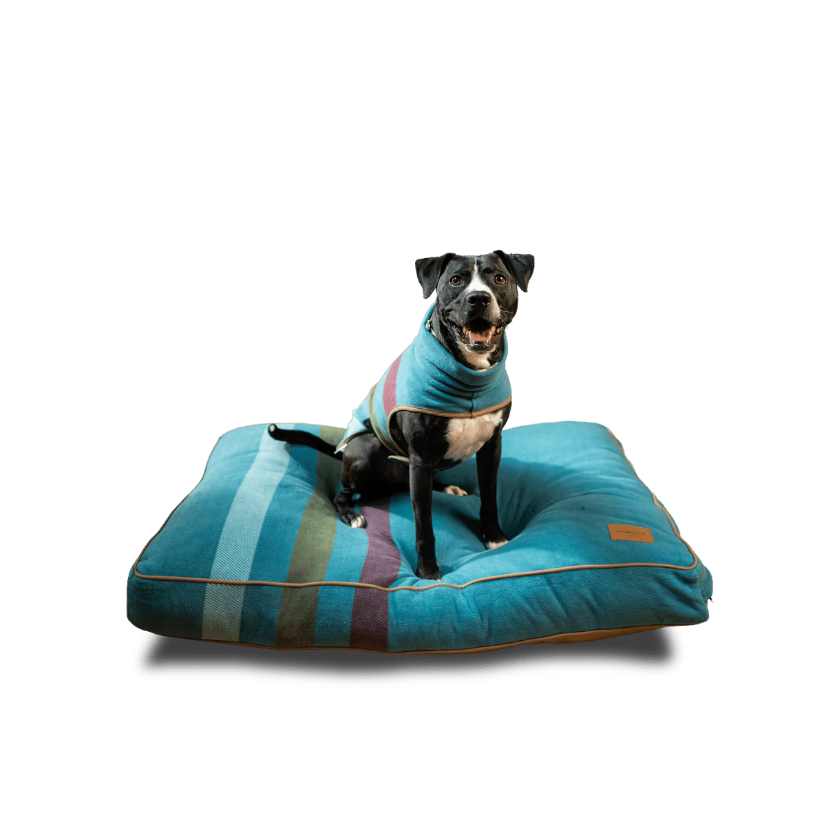 Pendleton Cabin Stripe Set – Carolina Pet Co.